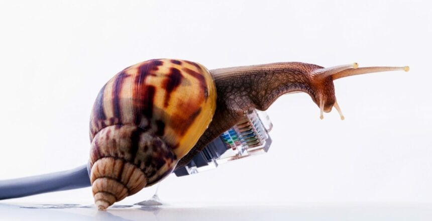 How To Fix A Slow Network While Using A VPN - NetBurner